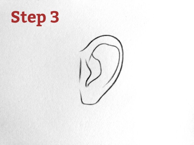 How to draw an Ear step by step | Ear drawing for beginners - draweazy