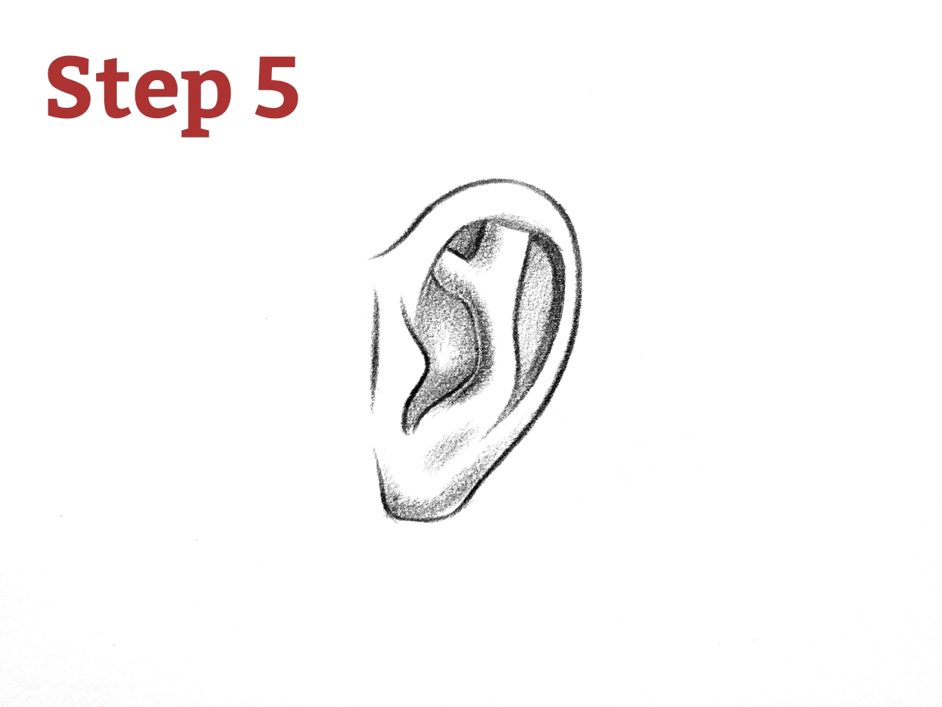 How to draw an Ear step by step | Ear drawing for beginners - draweazy
