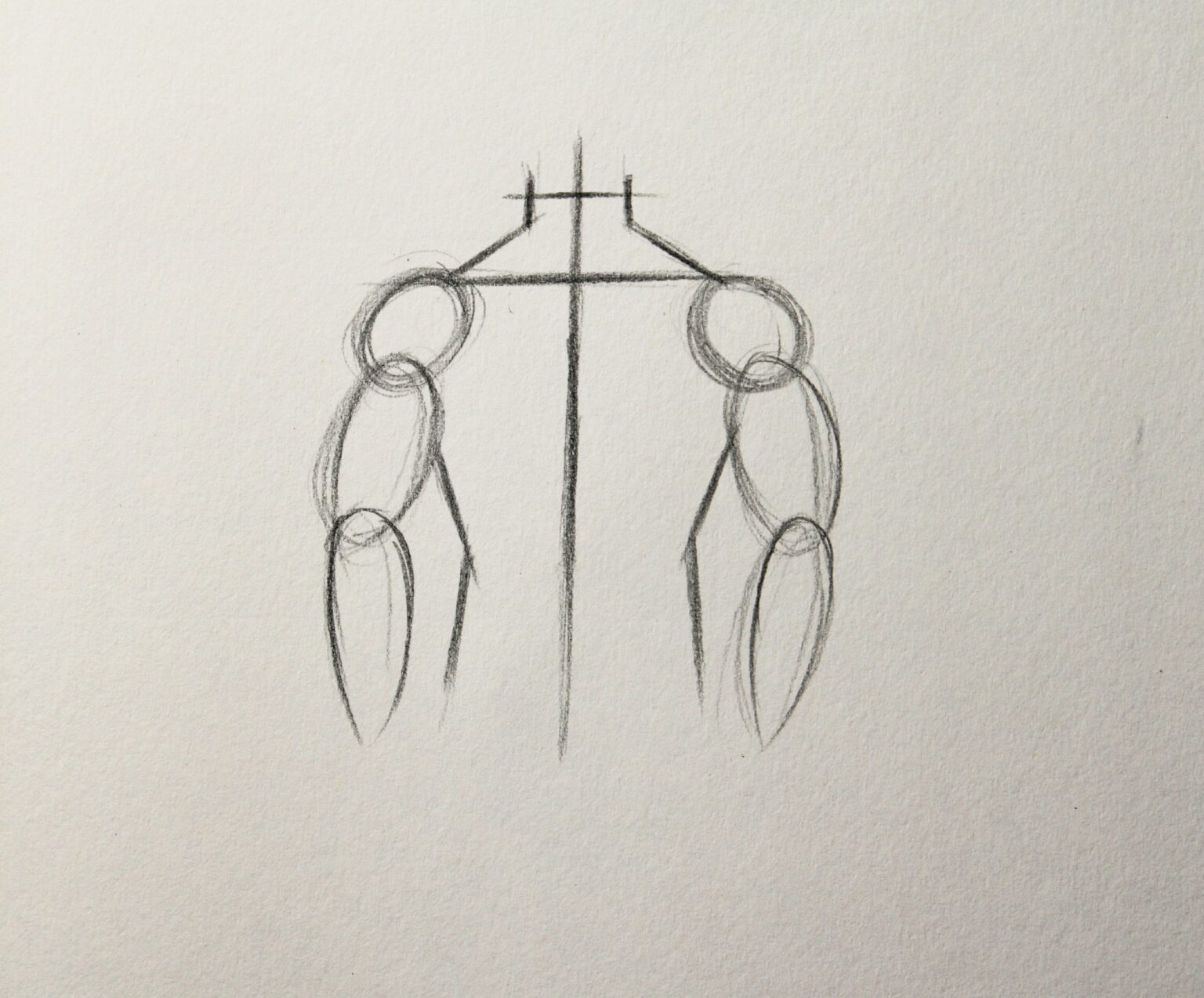 How to draw a Torso Step by step Drawing tutorial | Figure drawing ...