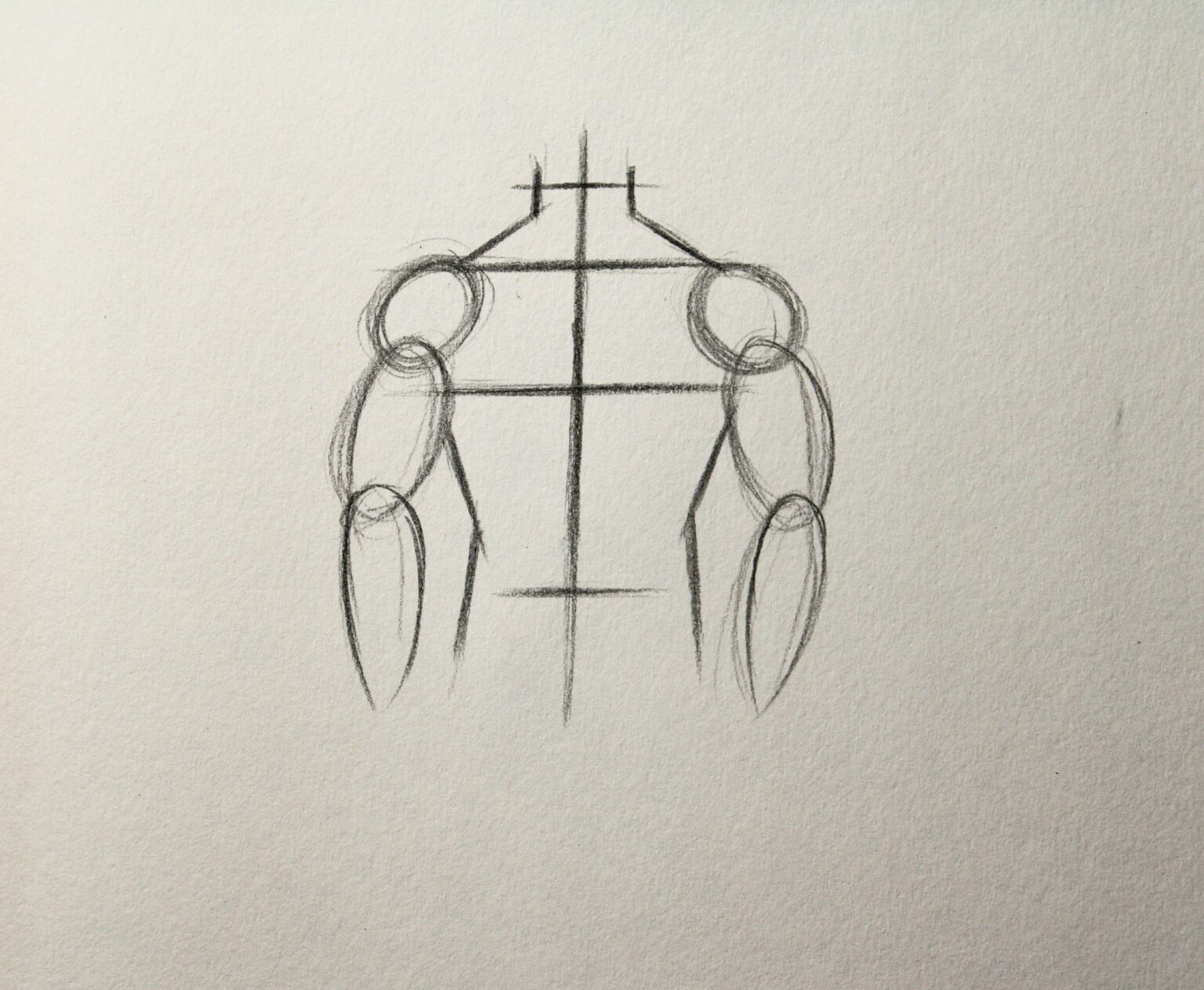 How to draw a Torso Step by step Drawing tutorial | Figure drawing ...