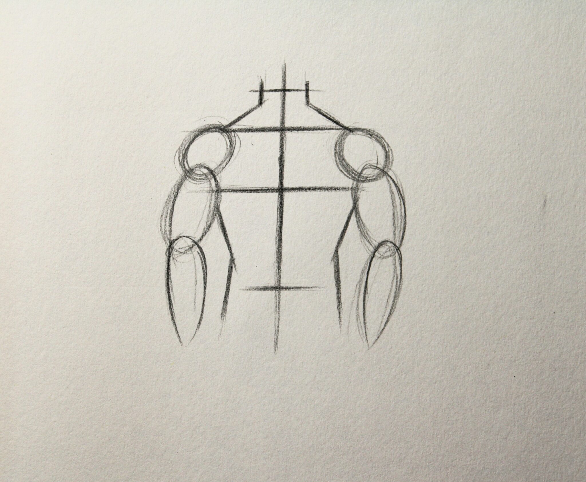 How to draw a Torso Step by step Drawing tutorial | Figure drawing ...