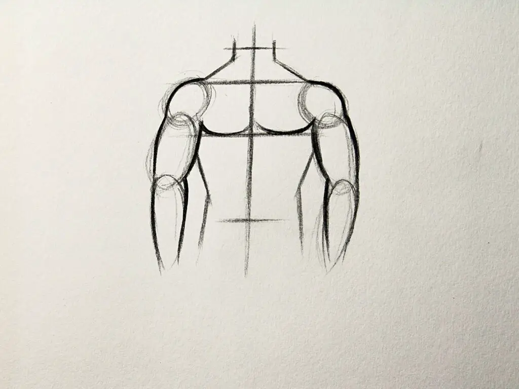 How to draw a Torso Step by step Drawing tutorial | Figure drawing ...