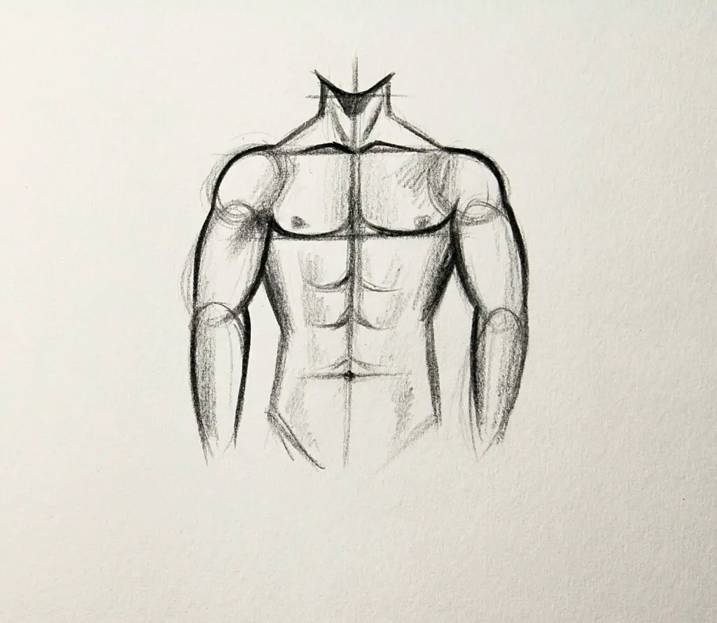 How to draw a Torso Step by step Drawing tutorial | Figure drawing ...