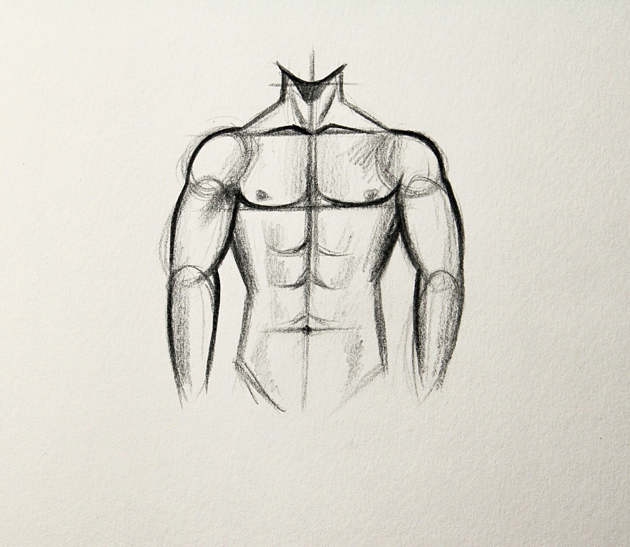 How to draw a Torso Step by step Drawing tutorial | Figure drawing ...